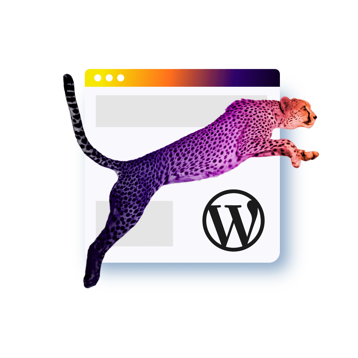 Effective Methods for WordPress Speed Optimization | Pantheon.io